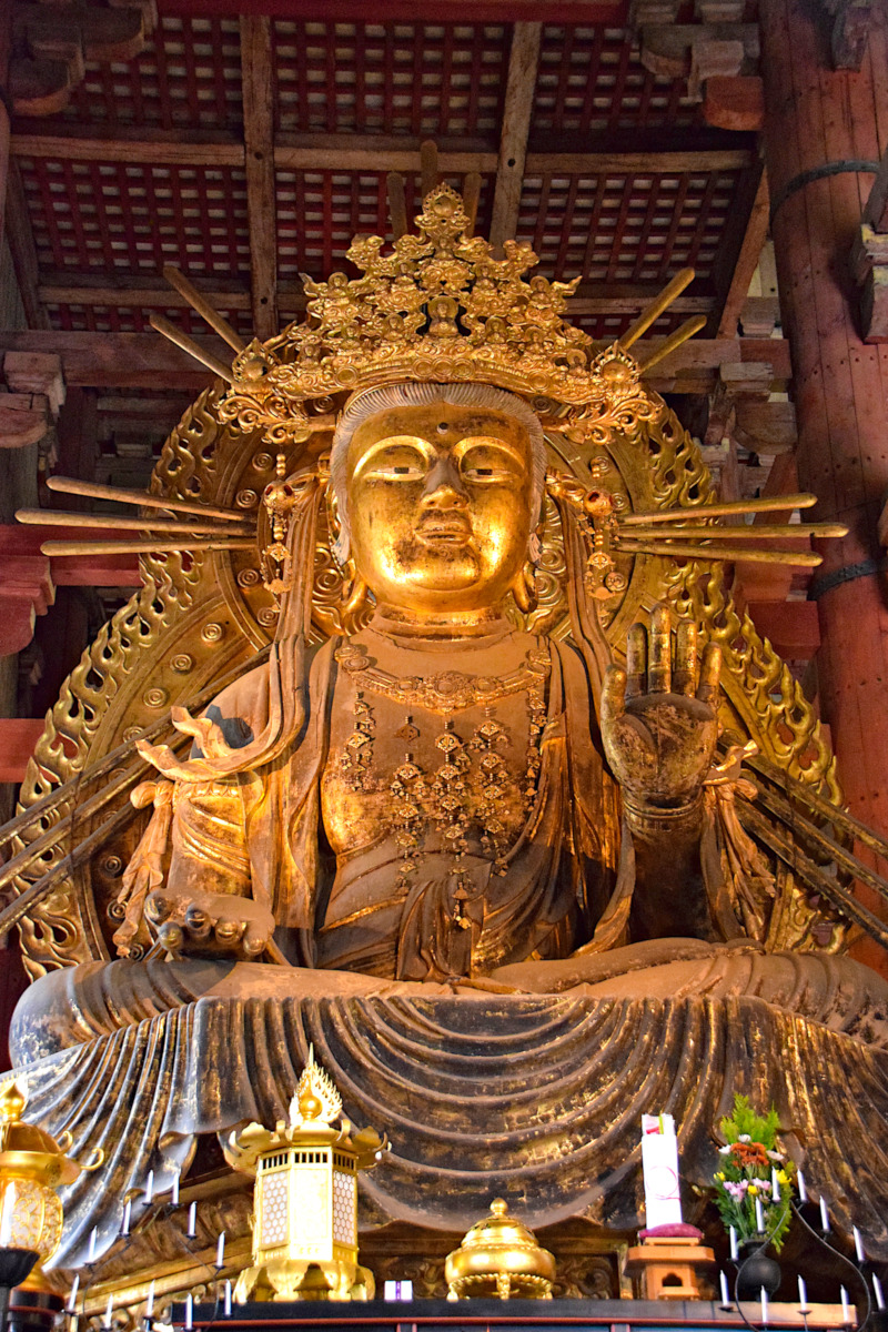 Nara Park Guide and Review: Japan's Famous Deer Park - Culture Snapshots