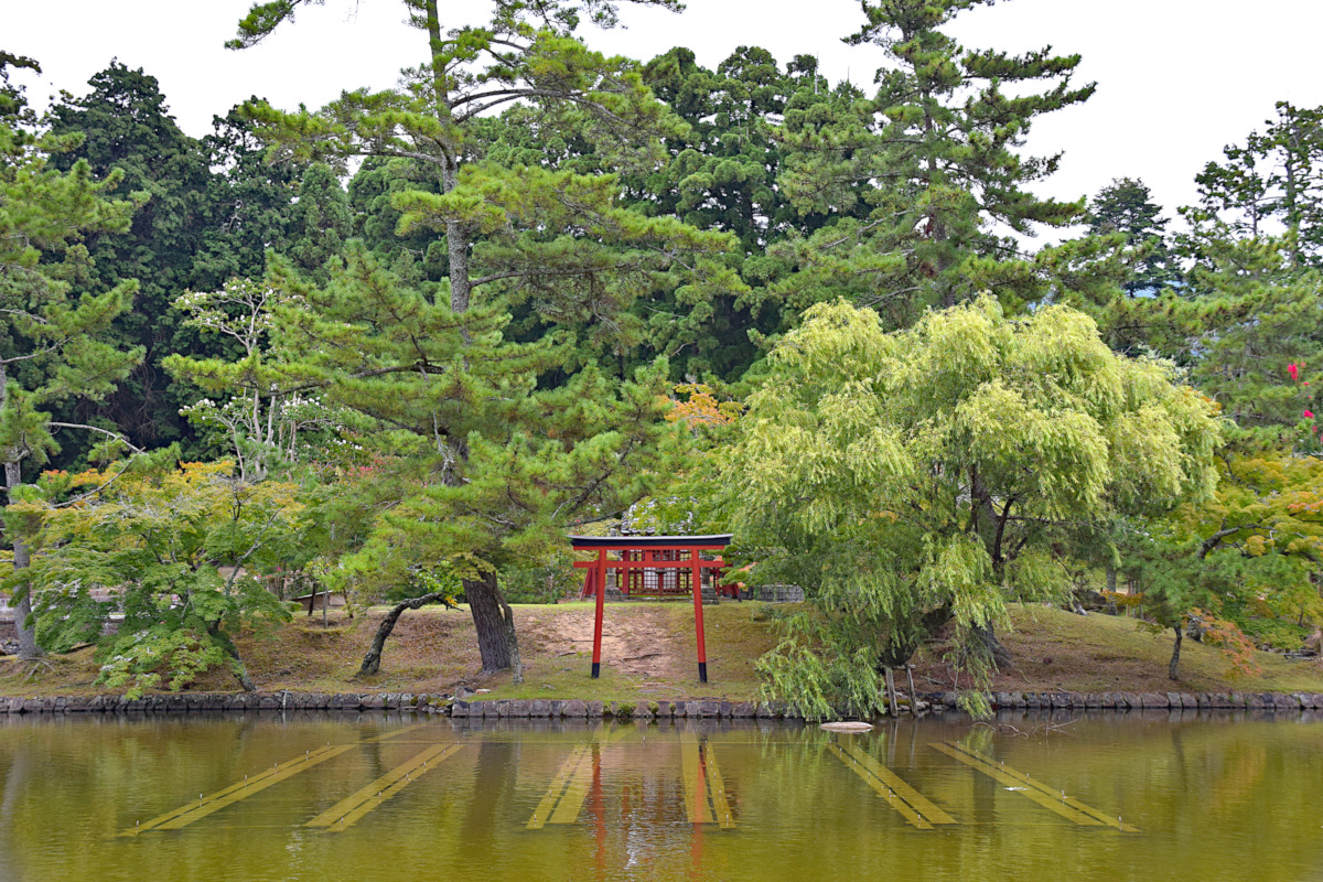 Nara Park Guide and Review: Japan's Famous Deer Park - Culture Snapshots