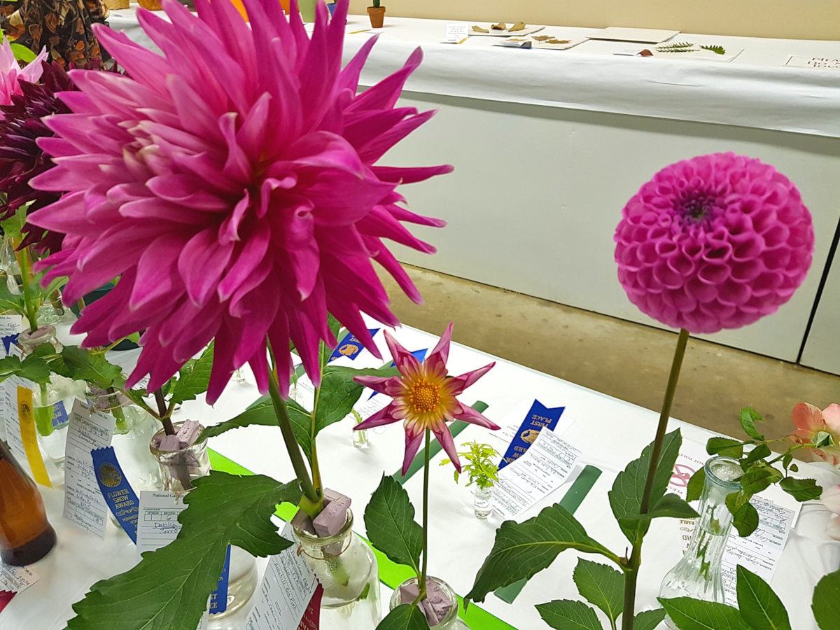 Minnesota State Fair: Decadent Foods and Farm Animals - Culture Snapshots