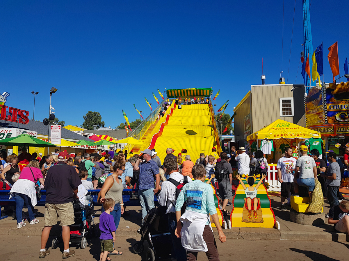 Minnesota State Fair: Decadent Foods and Farm Animals - Culture Snapshots