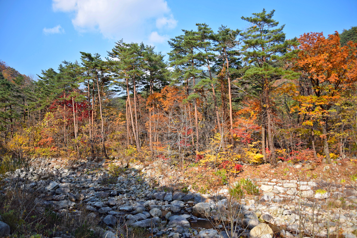South Korea: Seoraksan in Autumn - Culture Snapshots