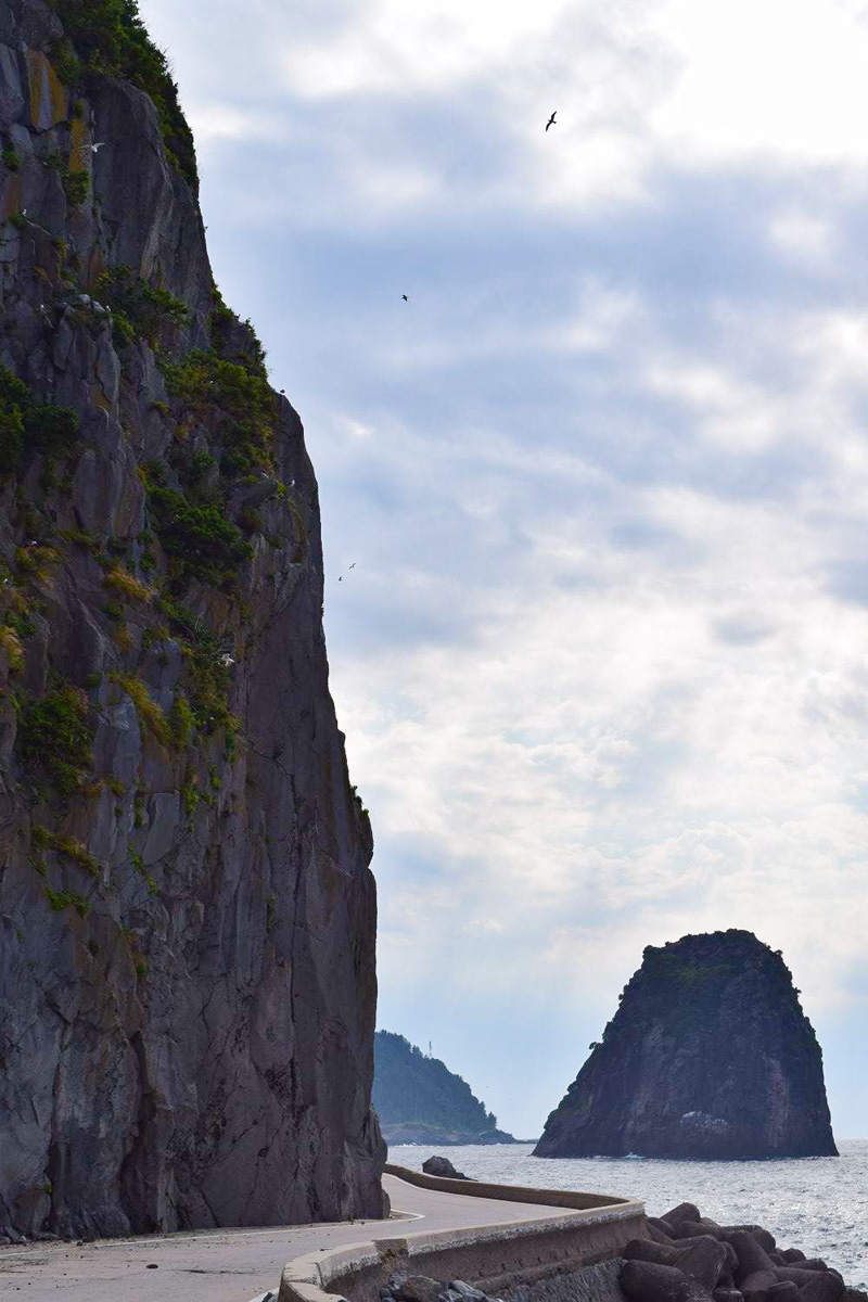 Ulleungdo Travel Guide: South Korea’s Little-Known Volcanic Island ...