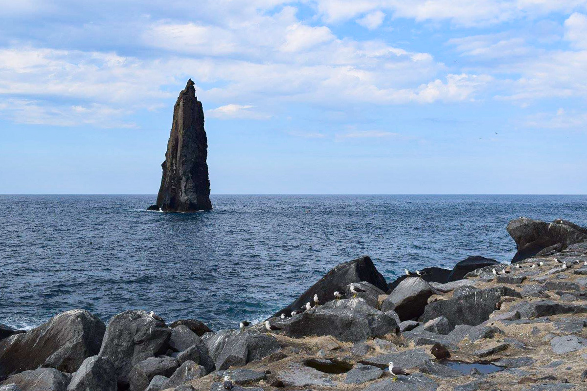 Ulleungdo Travel Guide: South Korea’s Little-Known Volcanic Island ...